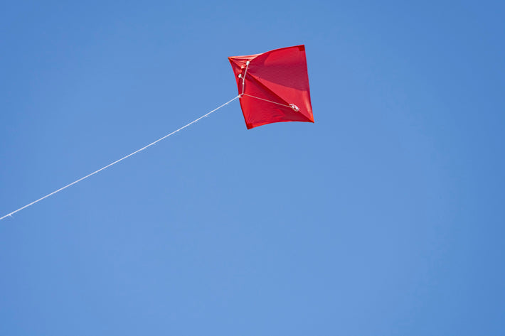 Wind Warrior Fighting Kites