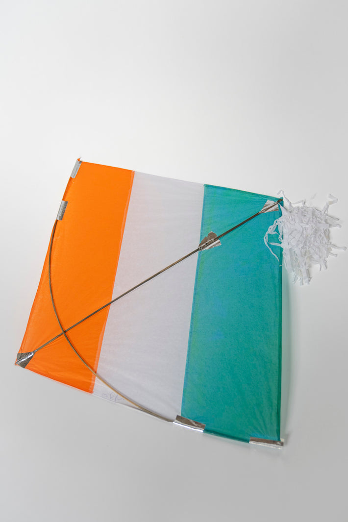 Fighting Kite History | Learn How to Win a Fighter Kite Battle – Wind ...