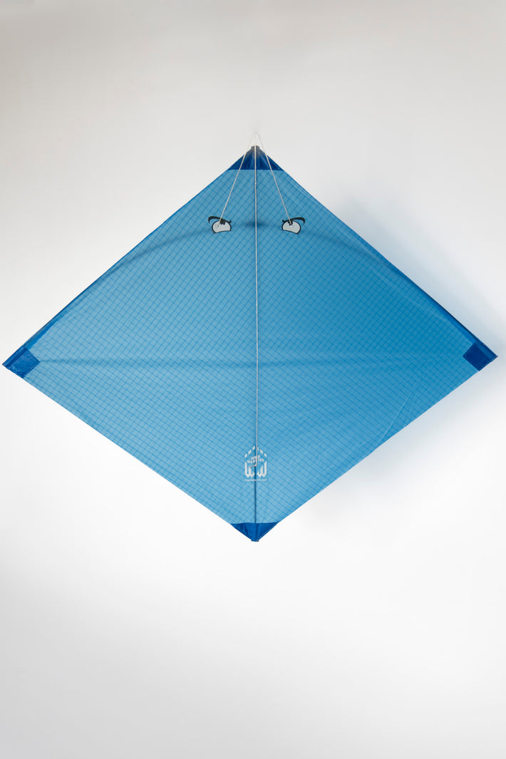 Buying a Fighting Kite | Kites Made to Last | Wind Warrior – Wind ...