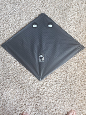 Fighting Kite History | Learn How to Win a Fighter Kite Battle – Wind ...